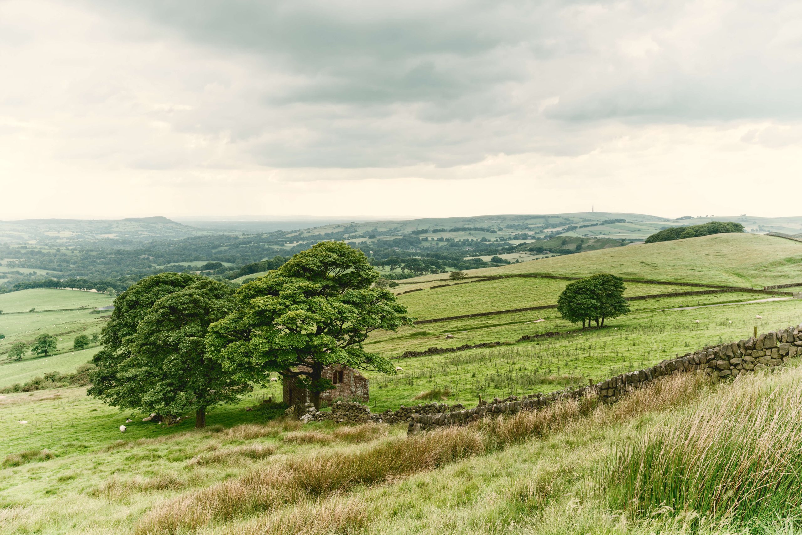 Our History - E H Humphries